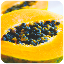 Carica Papaya - Ayurvedic Herb